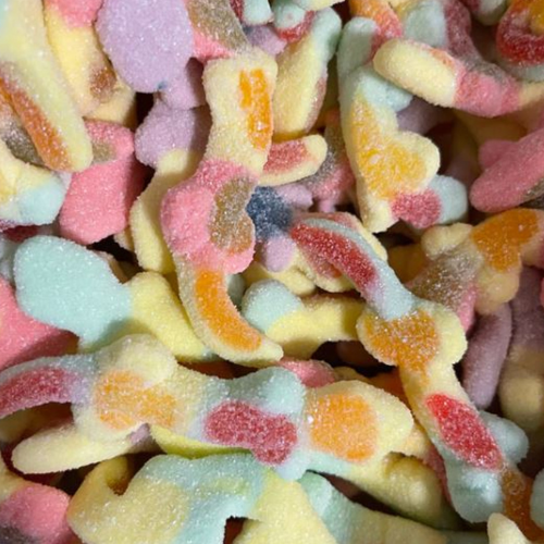 Sour Lizards – The Sweet Place